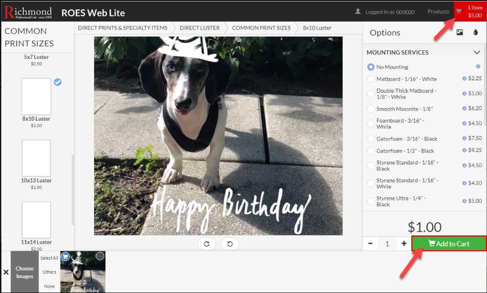 Getting Started with ROES and ROES Web